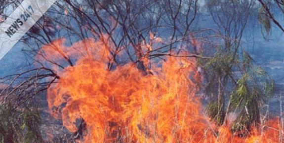 Πυρκαγιά στη Χαλκιδική | News 24/7