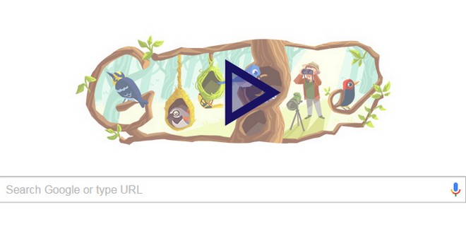 Phoebe Snetsinger: Αφιερωμένο στη Αμερικανίδα παρατηρήτρια πουλιών το ...