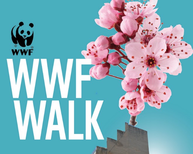 WWF Walk: Ανοιχτός περίπατος στο κέντρο της Αθήνας | News 24/7