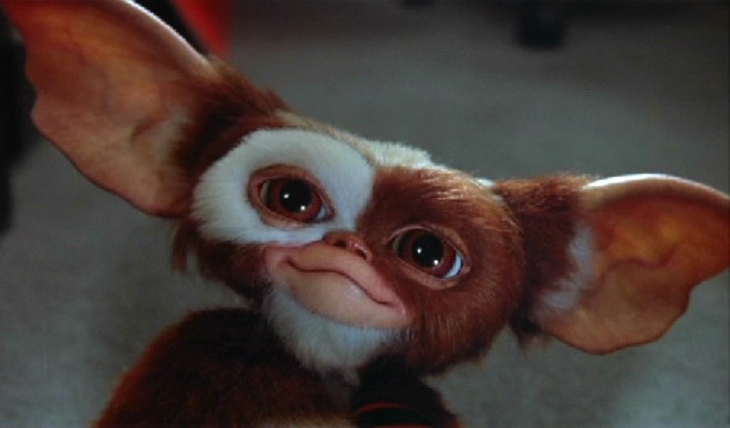 Γκρέμλινς: Είναι επίσημο - Τα θρυλικά τερατάκια γίνονται σειρά | News 24/7