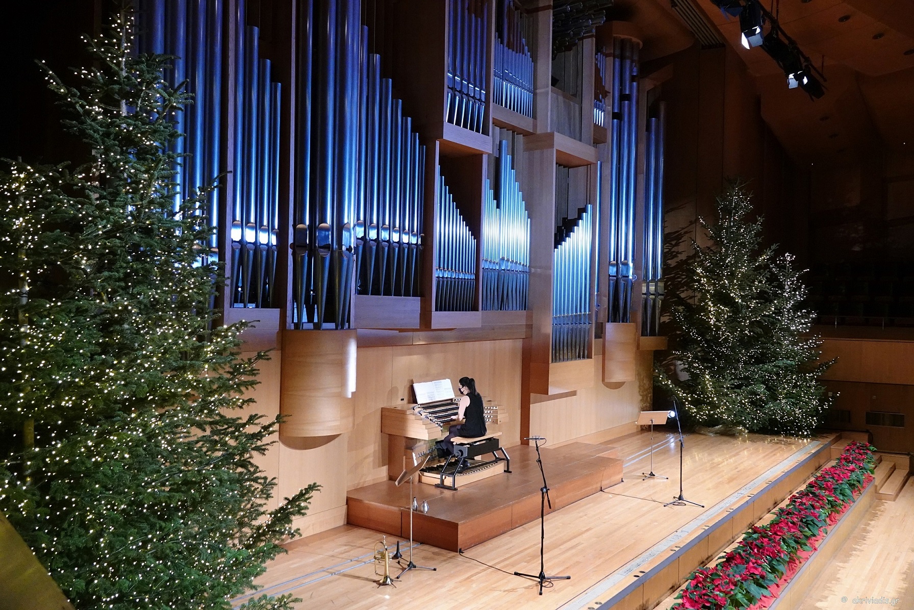 Χριστούγεννα στο Μέγαρο (ναι, από τώρα) | News 24/7