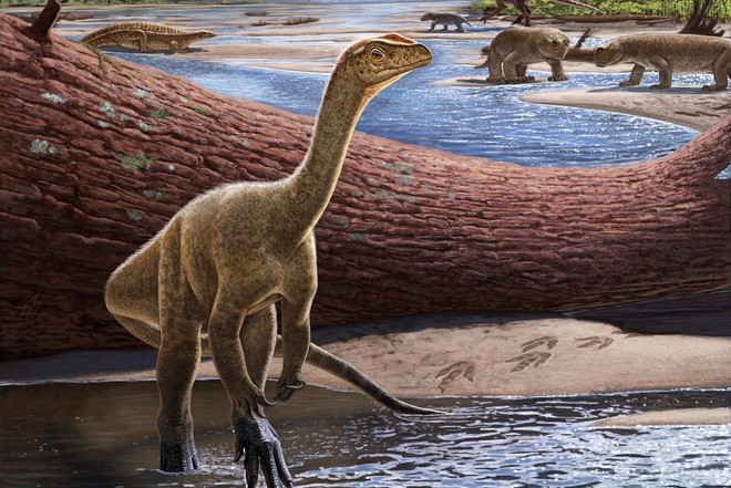 Mbiresaurus: Ανακαλύφθηκε ο αρχαιότερος δεινόσαυρος της Αφρικής | News 24/7