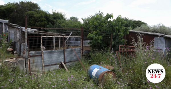 Καβάλα: Θρίλερ με τον θάνατο της 68χρονης - Το DNA θα δώσει τις ...