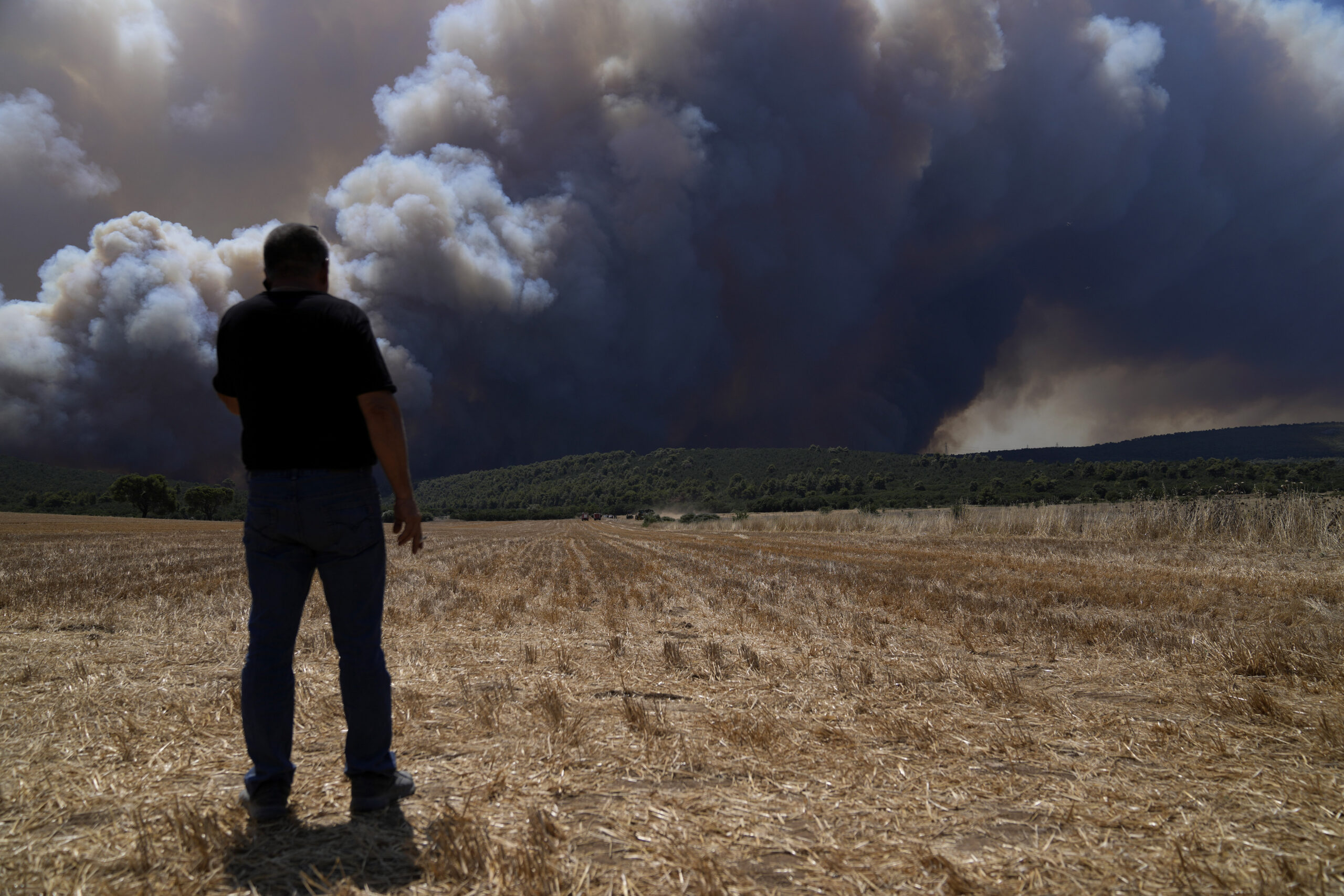 Φωτιές και πρόληψη: Ένα συνεχές έγκλημα που καταστρέφει την Ελλάδα ...