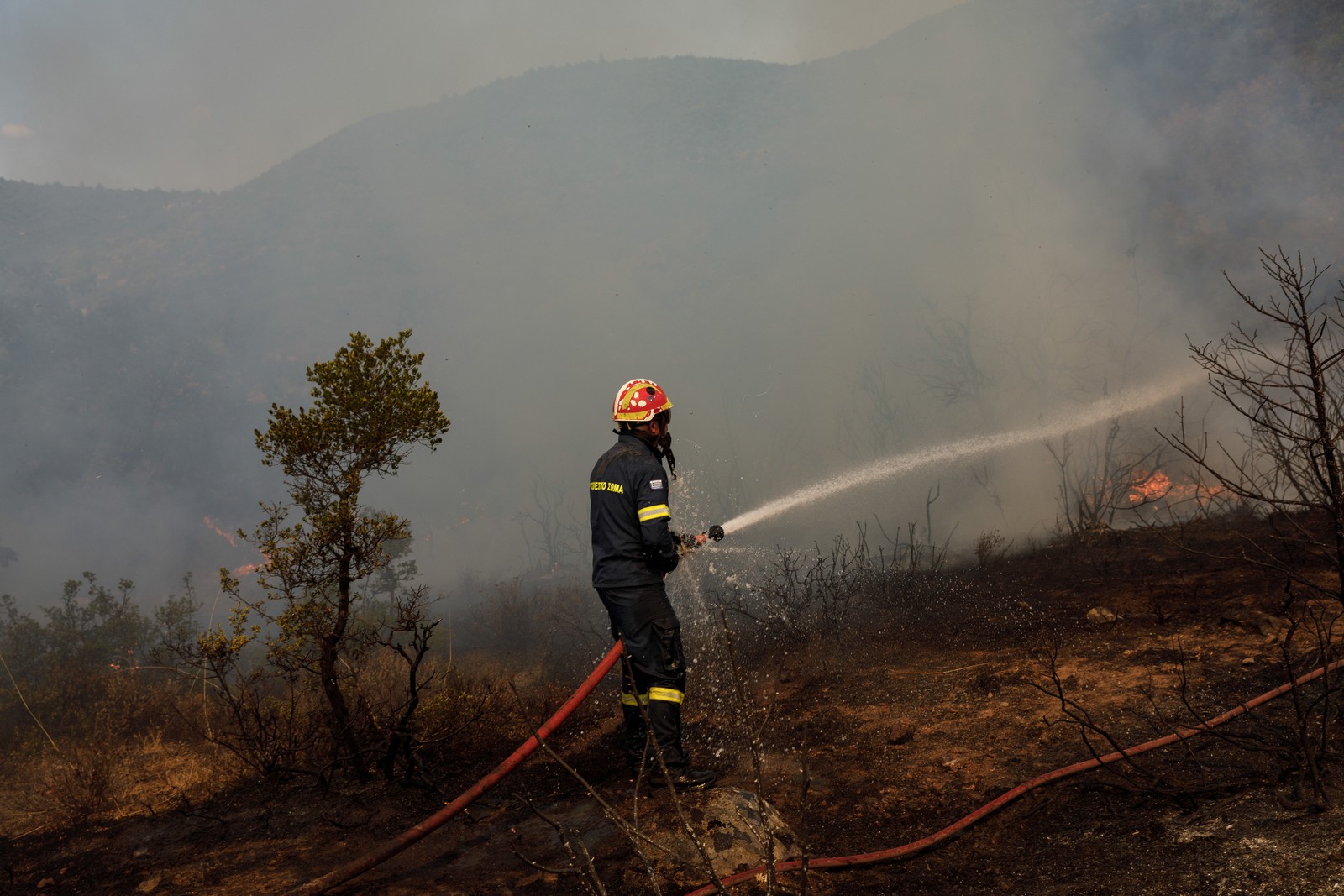 Φωτιές: Μάχη με τις αναζωπυρώσεις σε Έβρο και Ροδόπη - Ανησυχία για ...