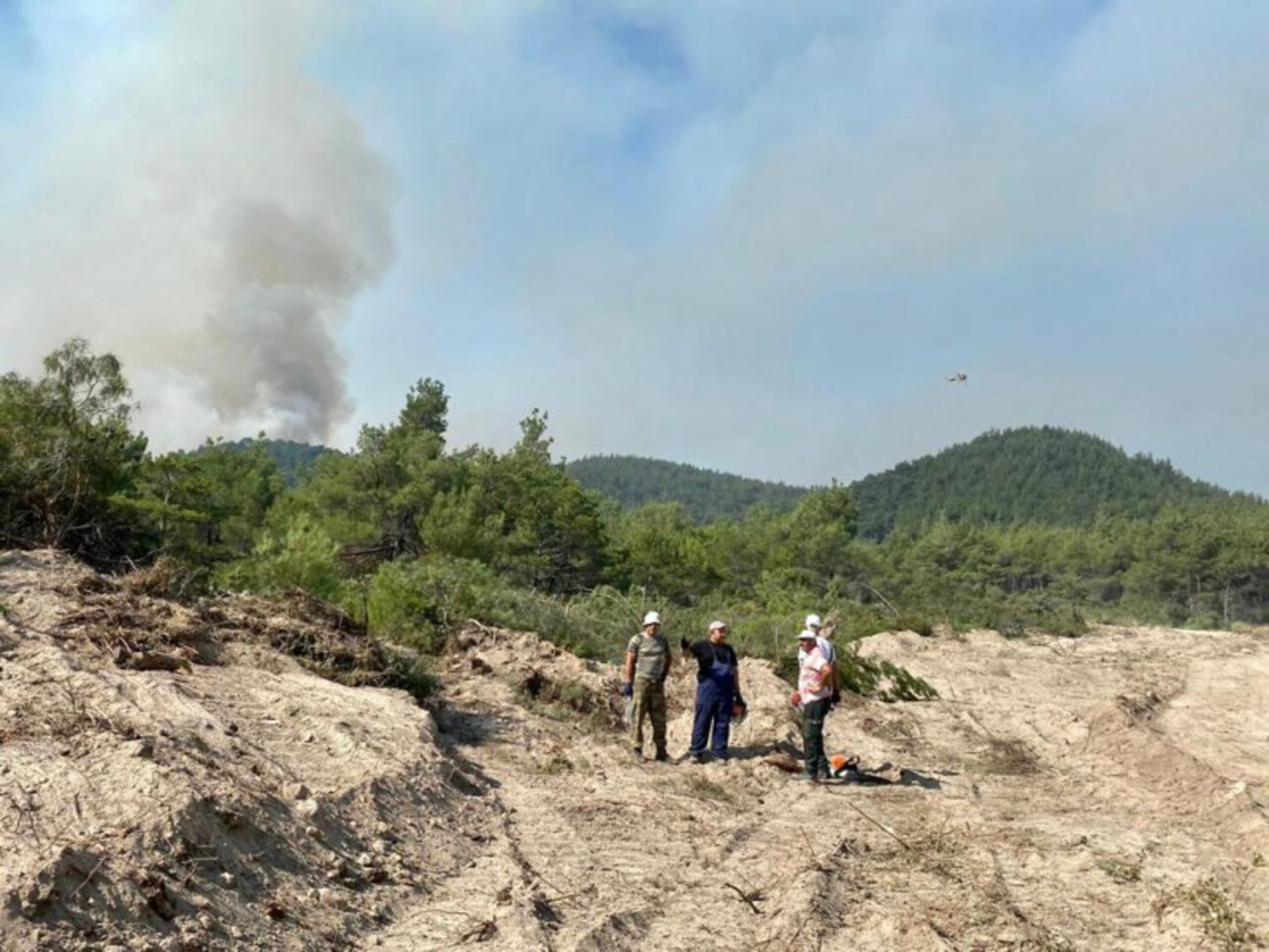 Φωτιά στον Έβρο: Μήνυμα 112 στη Λευκίμμη - Μάχη με τους ισχυρούς ...