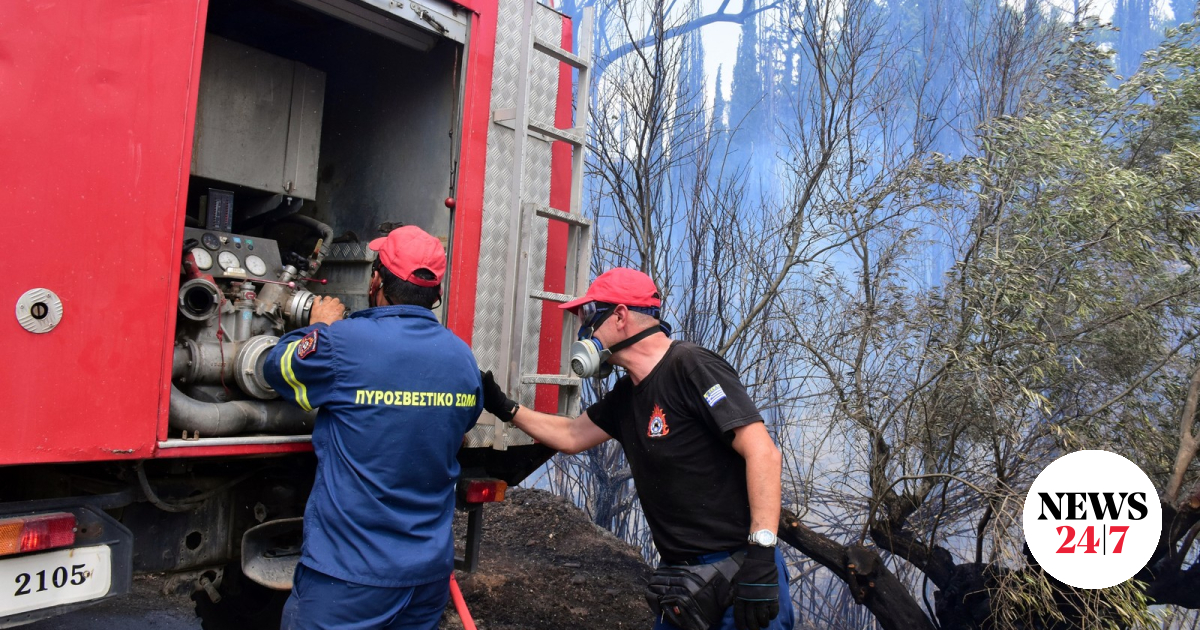 Συνελήφθη αγρότης για εμπρησμό για την φωτιά στο Λασίθι