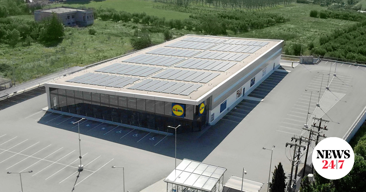 Lidl Ελλάς: Επενδύσεις και αύξηση μέσου μισθού στα 1.000 ευρώ