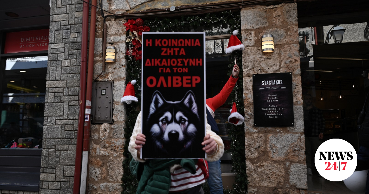 Θάνατος Χάσκι: Νέα παρέμβαση καθηγητή κτηνιατρικής - Διαδήλωση στην Αράχωβα