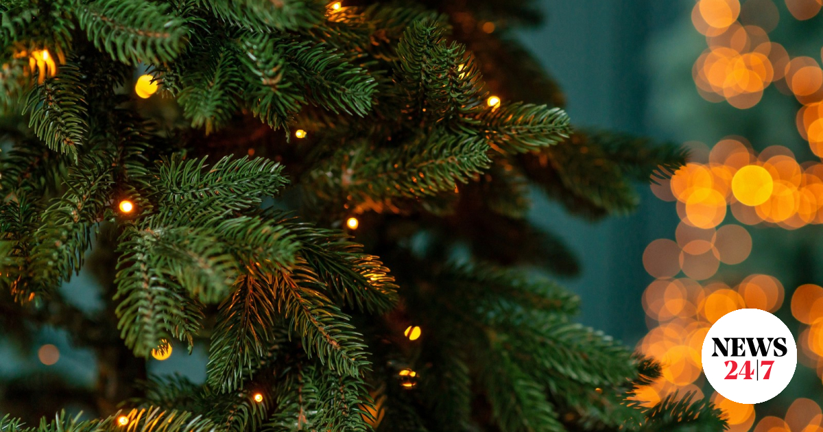 Φυσικό ή τεχνητό χριστουγεννιάτικο δέντρο;