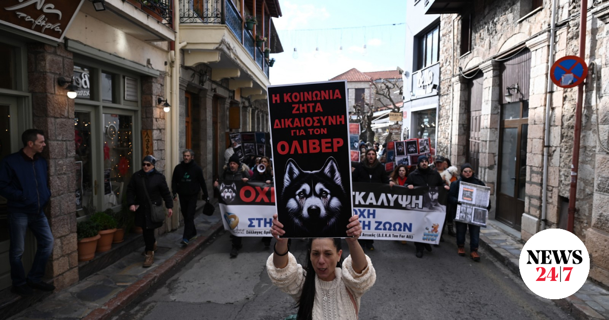 Χάσκι: "Ξέρουμε το όνομα του δράστη" λέει η Πουλτίδου