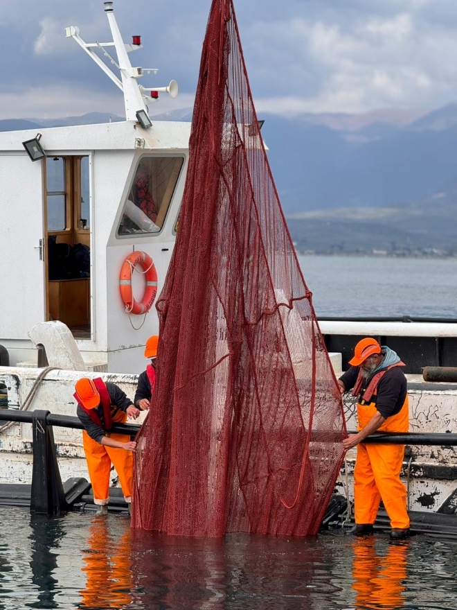 Η Philosofish οδηγεί τον κλάδο της υδατοκαλλιέργειας με την ...