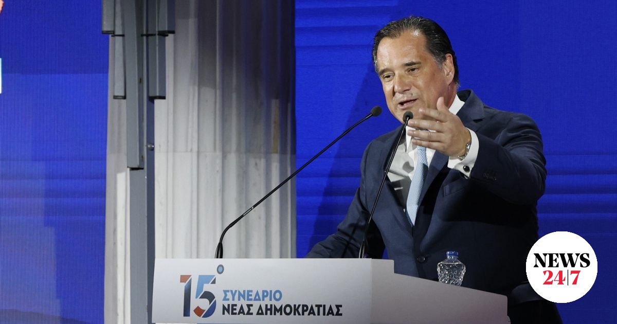 Γεωργιάδης: Προσπαθούν να ρίξουν τον Μητσοτάκη. Θα τους αφήσουμε;