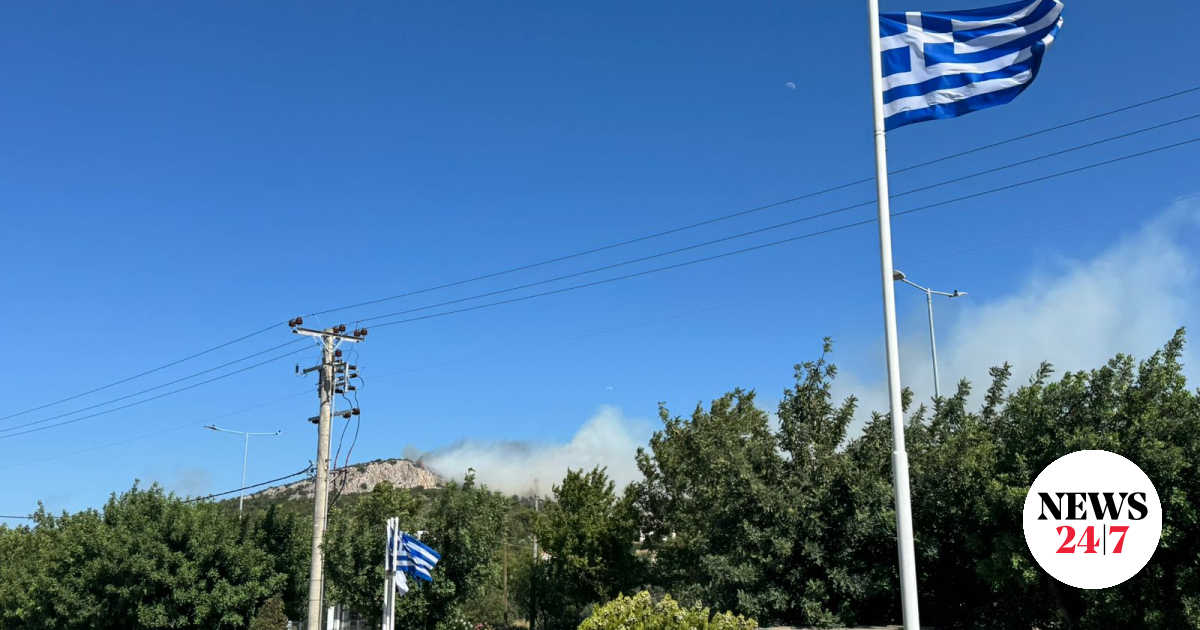 Φωτιά στη Ραφήνα: Εκκενώθηκαν επιχειρήσεις στη Λ. Μαραθώνος