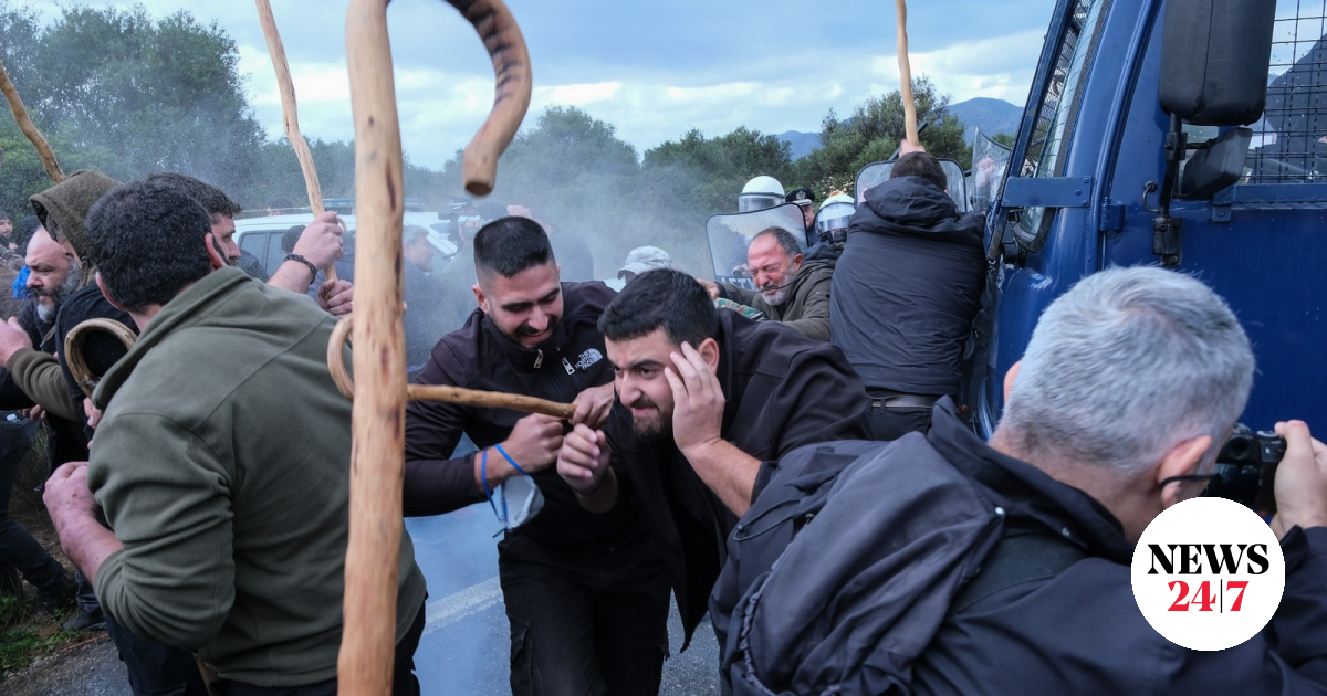 "Γηραιά σκυλιά", νέα κόλπα